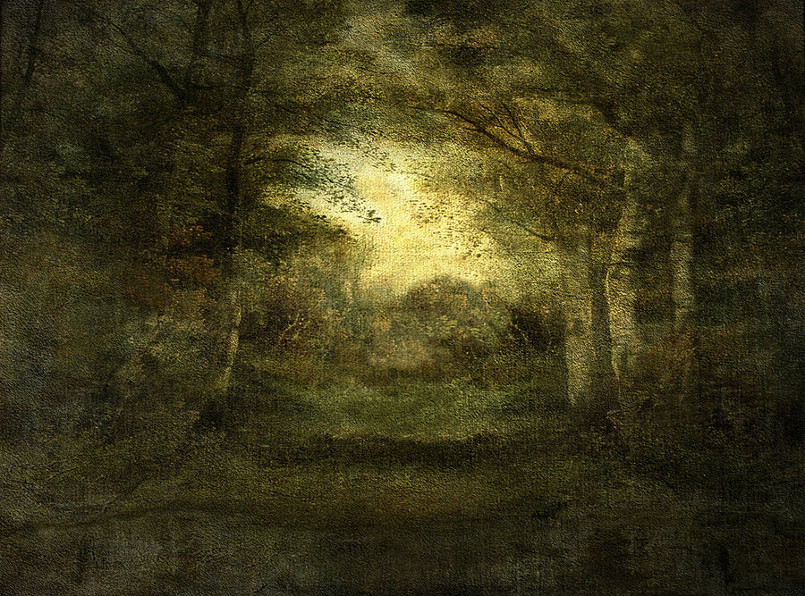 Buy Abstract & Texture Photography Backdrops Online – tagged "forest ...