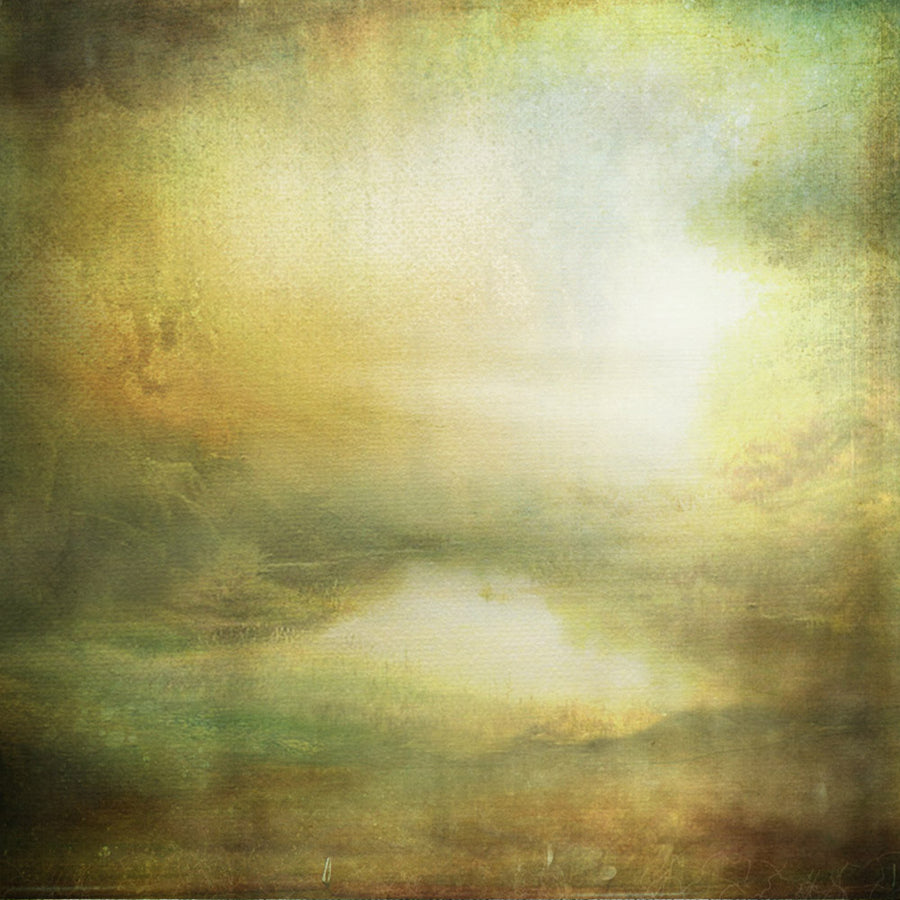 Buy Abstract & Texture Photography Backdrops Online – tagged "forest ...