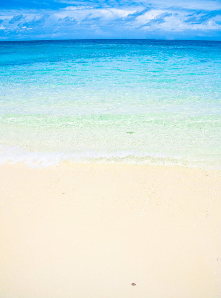 Shop For Scene Backdrops For Photography Online | iBACKDROP – tagged ...