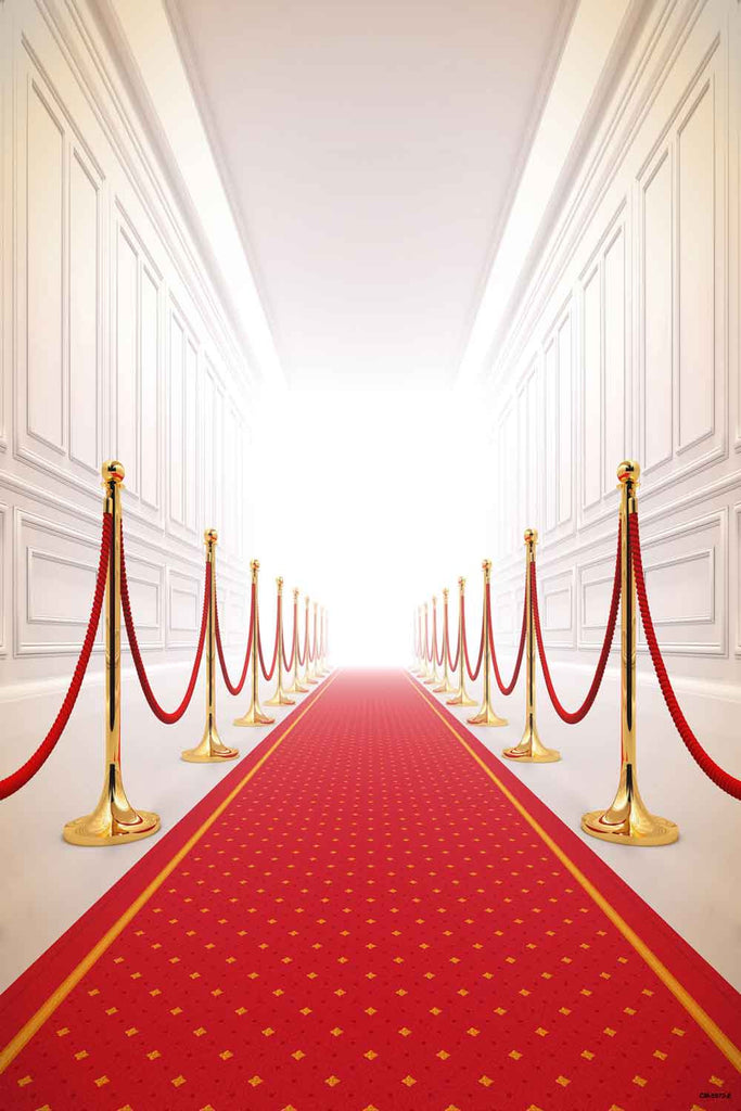 Red Carpet Backdrops Party Background Wall Backdrop CM-5973-E – iBACKDROP