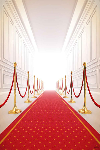 Red Carpet Backdrops Party Background Wall Backdrop CM-5973-E – iBACKDROP