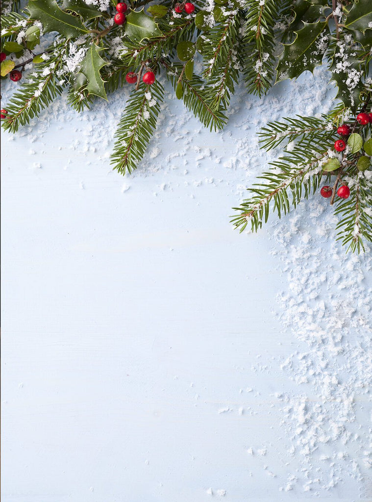 Christmas White Snow With Grand Fir And Red Berries Photo Background B ...