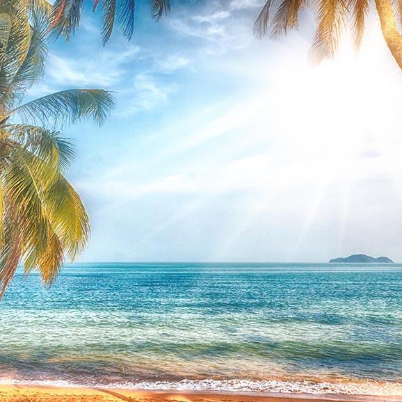 Scenic Backdrops Beach Backdrop Ocean Backgrounds Blue Sky G-456 ...
