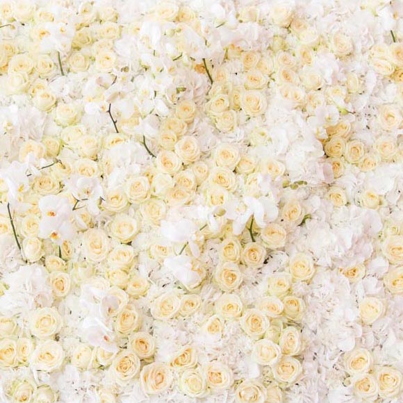 Patterned Backdrops Flower Backdrop Yellow Backgrounds G-605 – iBACKDROP