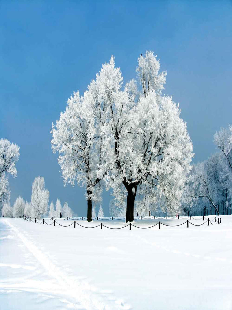 Festival Backdrops Season Background Winter Backdrops J00745-E – iBACKDROP