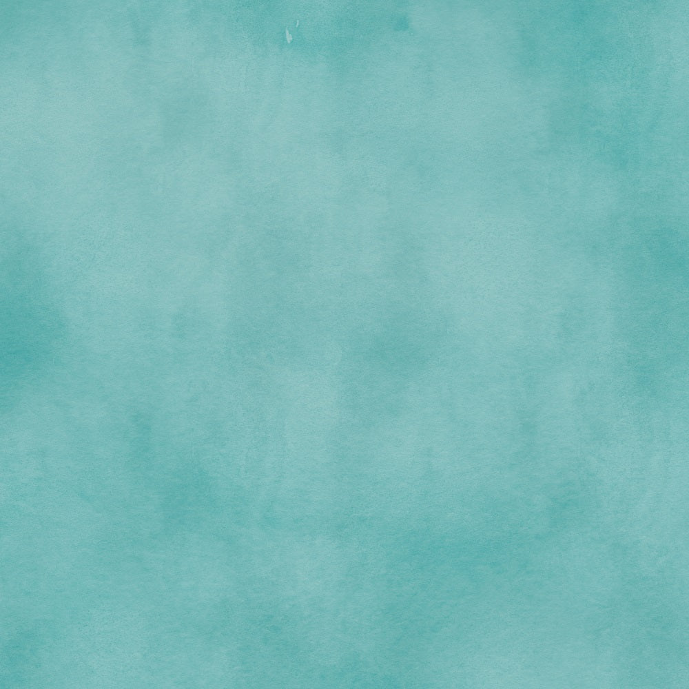 Lightblue Portrait Backdrop For Photography IBD-24385 – iBACKDROP