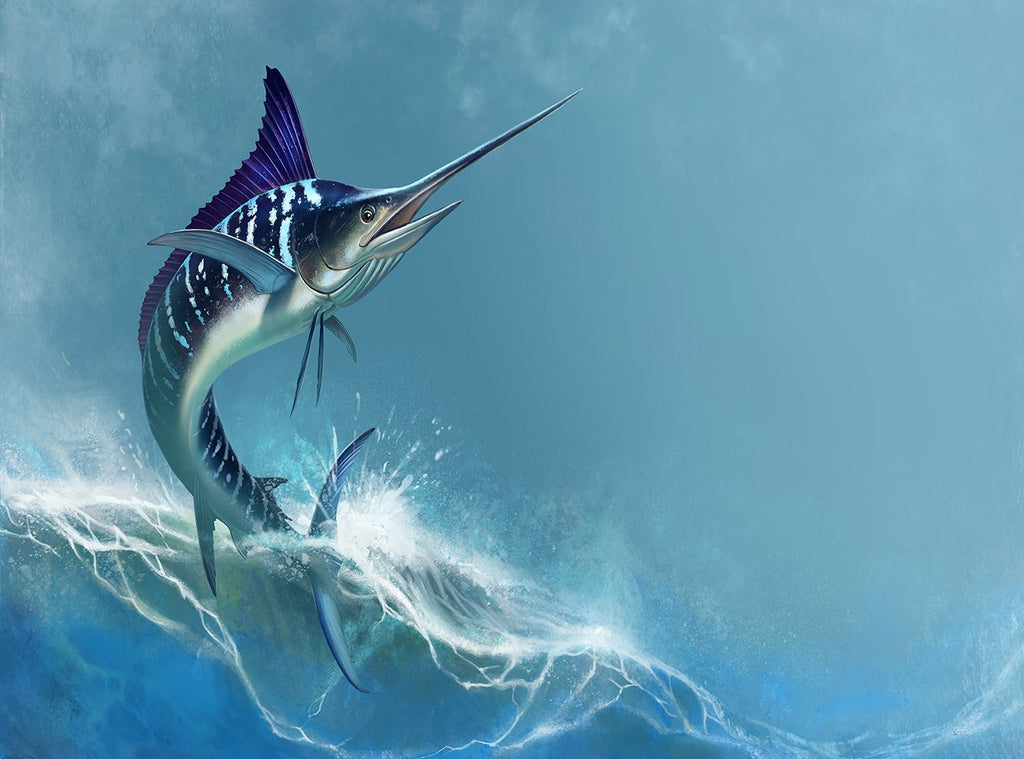 Marine Striped Marlin Animal Background Fishing Photography Backdrop I ...