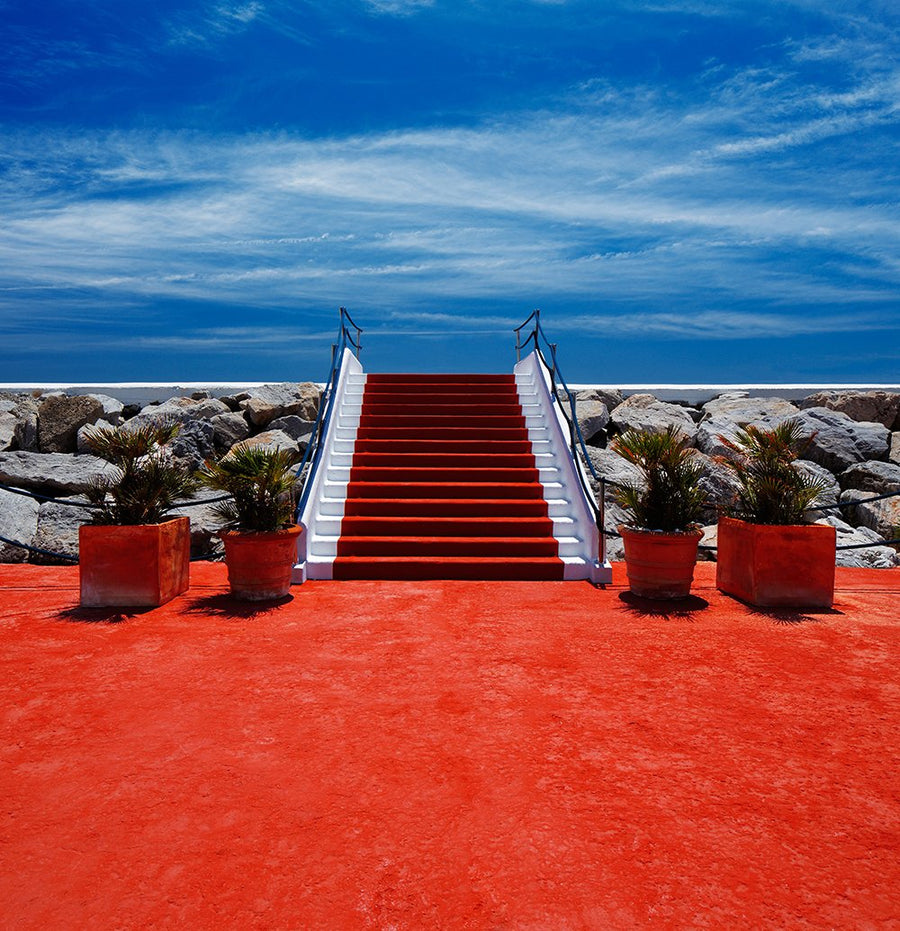 Backdrop by Theme Red Carpet Background For Photography Stage Backdrops ...