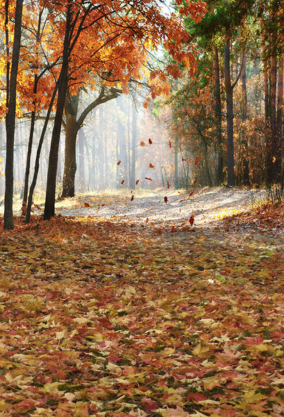 Scenic Backdrops Trees Parks Woodland Backdrops Maple Leaf Background ...