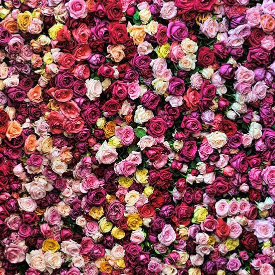 Patterned Backdrops Photography Backdrop For Photography Cheap – iBACKDROP