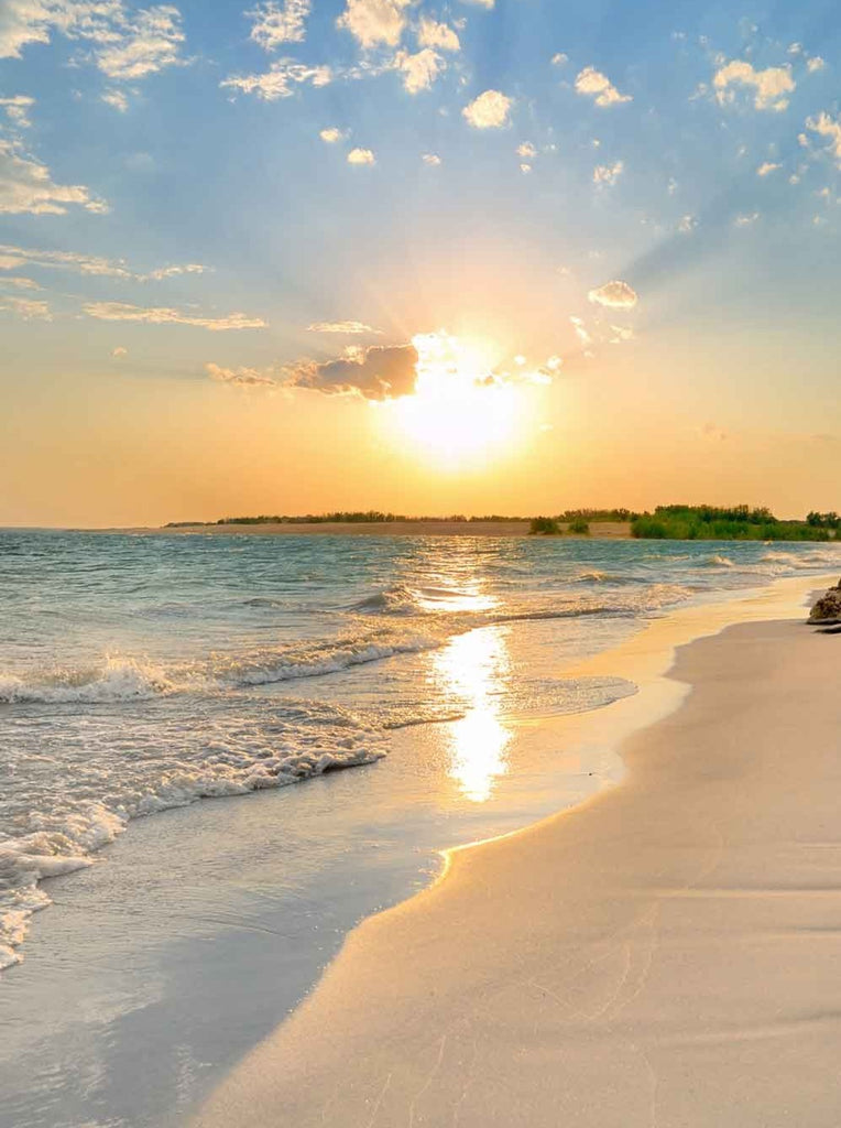 Season Backdrops Summer Backdrops Beach Background Sunset X39-E – iBACKDROP