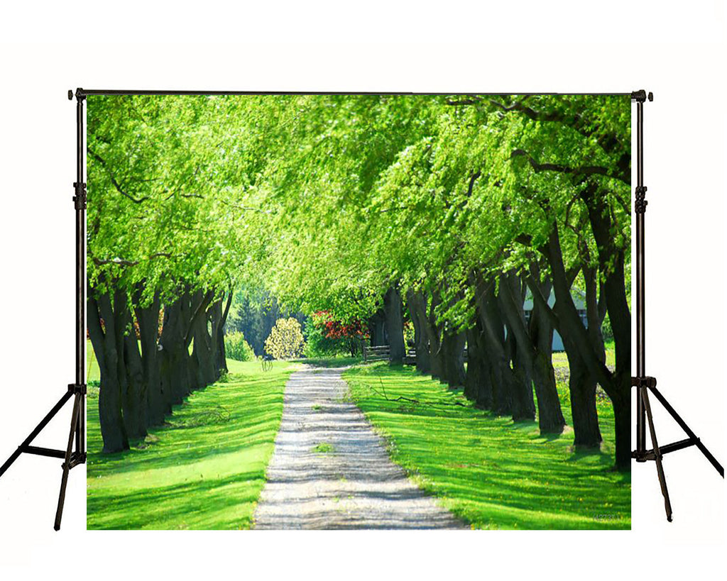 Scenic Background Trees Parks Woodland Backdrops Leaf Backdrop ZJ-X81 ...