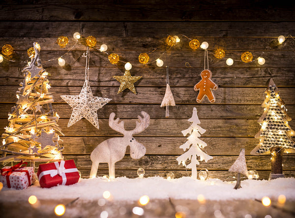 Christmas Baby Kids Miniature Scene Photography Backdrops IBD-24248 ...
