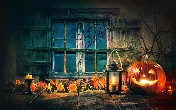 Festival Backdrops Halloween Window Backdrop Pumpkin Lanterns IBD-H190 ...